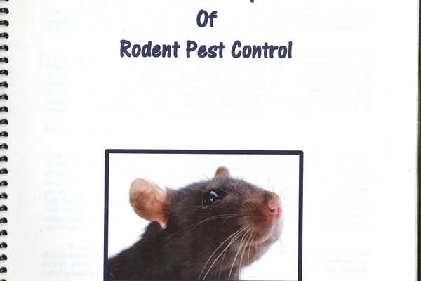 Wild Rodent Pests and Young Moringa Tree Nursery - Pest Control - ECHOcommunity Conversations